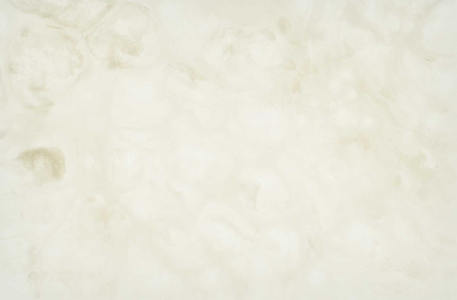 Amberlite - Backlit Decor