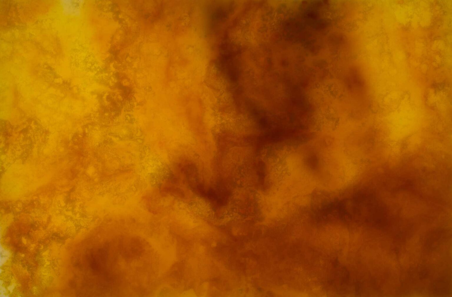 Amberlite - Backlit Decor